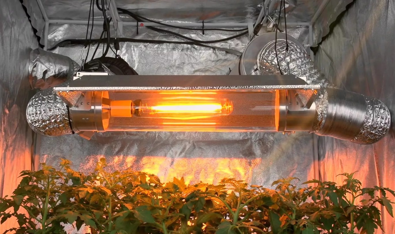 How To Set Up Ventilation In Grow Tent - 3 Best Tips
