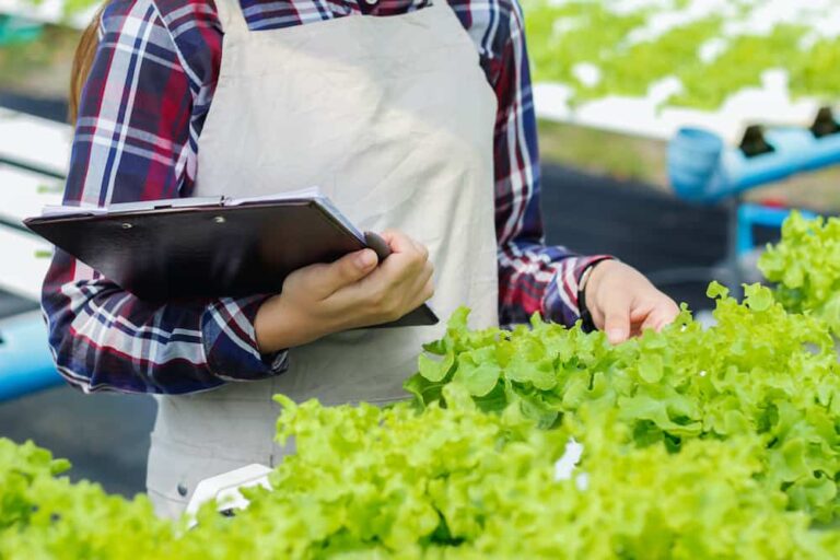 What is EC in hydroponics: basic things to know how to grow healthy ...