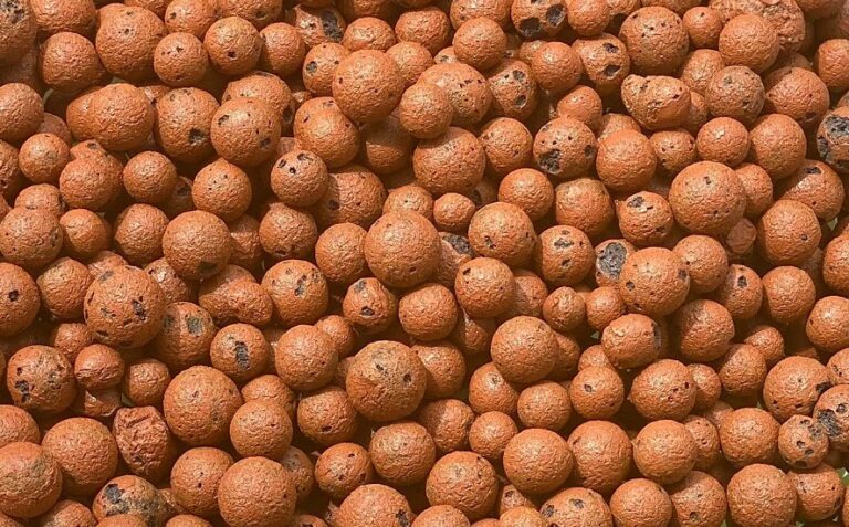 Leca VS. Soil: Best Helpful Guide & Main Pros | Cons