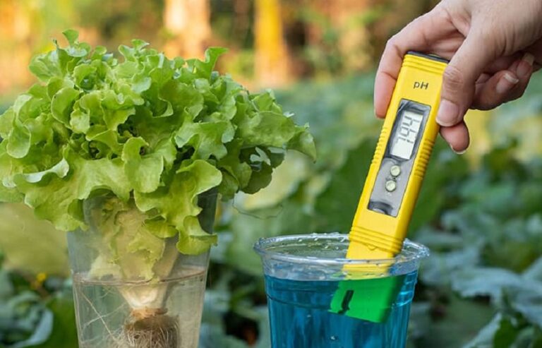 Balancing the basics: how to keep pH stable in hydroponics – General hydroponics guide